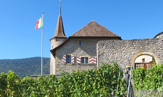 Le Château de Boudry, Boudry - Vignes&Culture